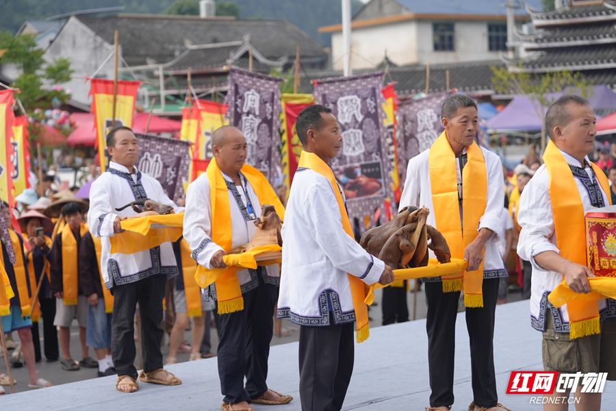 新晃举办扶罗尝新节五百年盛典古韵传承焕新姿 - 市文化旅游广电体育局